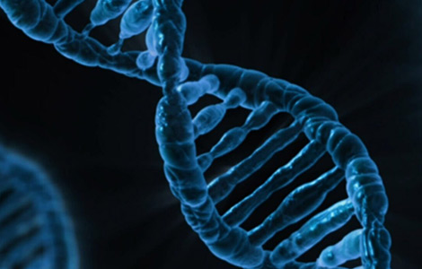 FSHD Europe - About Facioscapulohumeral Muscular Dystrophy